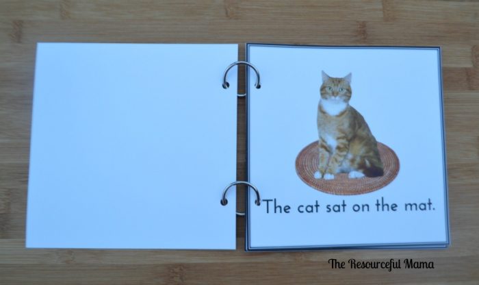 The Cat Sat Rhyming Book - The Resourceful Mama