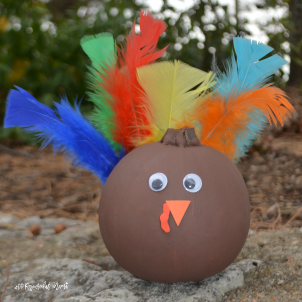 Turkey Pumpkin - The Resourceful Mama