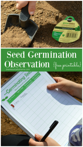 Seed Germination Observation for Kids {Free Printable} - The ...