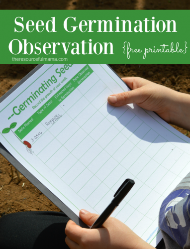 Seed Germination Observation for Kids {Free Printable} - The ...