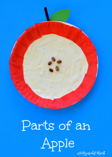 Explore Parts of an Apple Through Craft - The Resourceful Mama