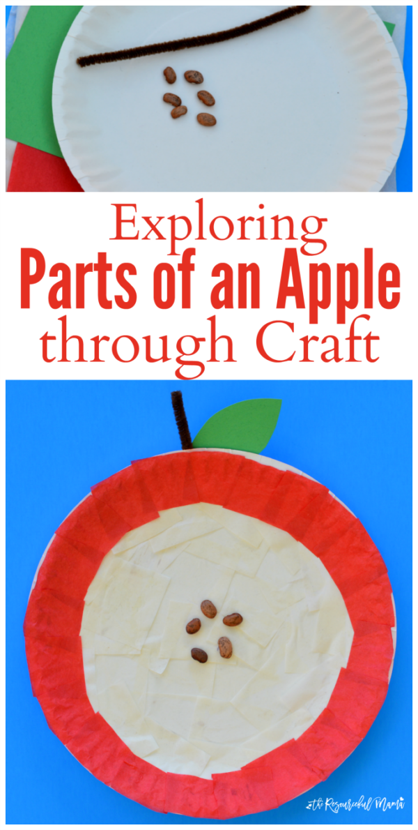 Explore Parts of an Apple Through Craft - The Resourceful Mama