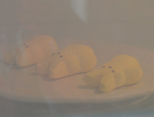 Peeps Candy Science Experiment - The Resourceful Mama