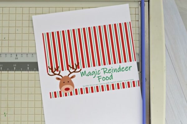 Magic Reindeer Food {Printable Bag Topper} - The Resourceful Mama